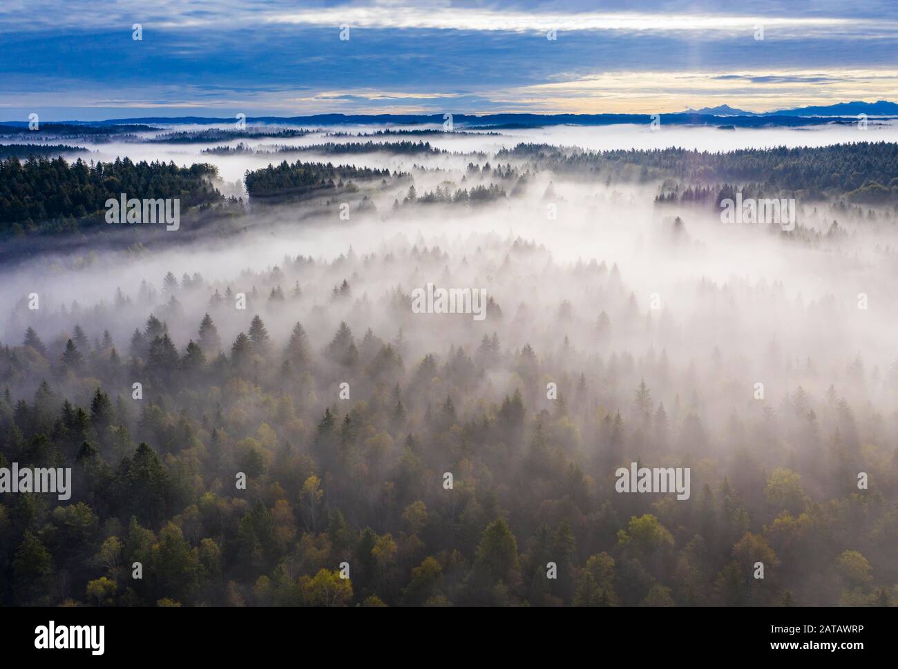 Wafts of mist over forest landscape near Geretsried, drone shot, Upper ...