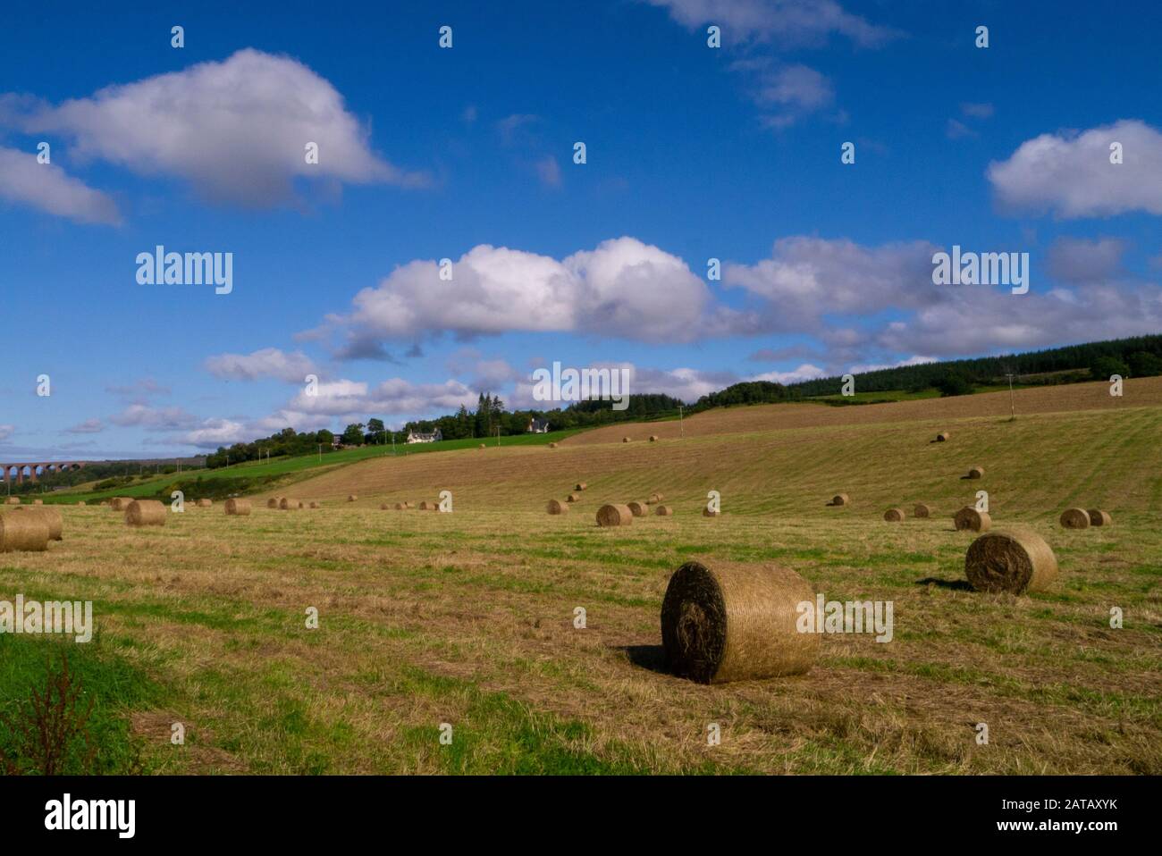 Silage Bales Uk High Resolution Stock Photography and Images - Alamy