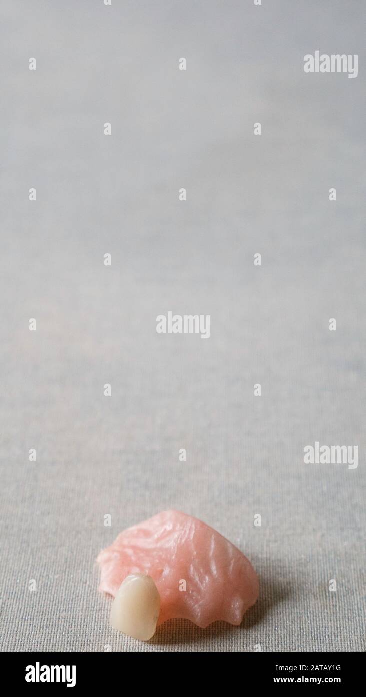 One false plastic tooth. Dental prosthetics on a background. Dentures ...