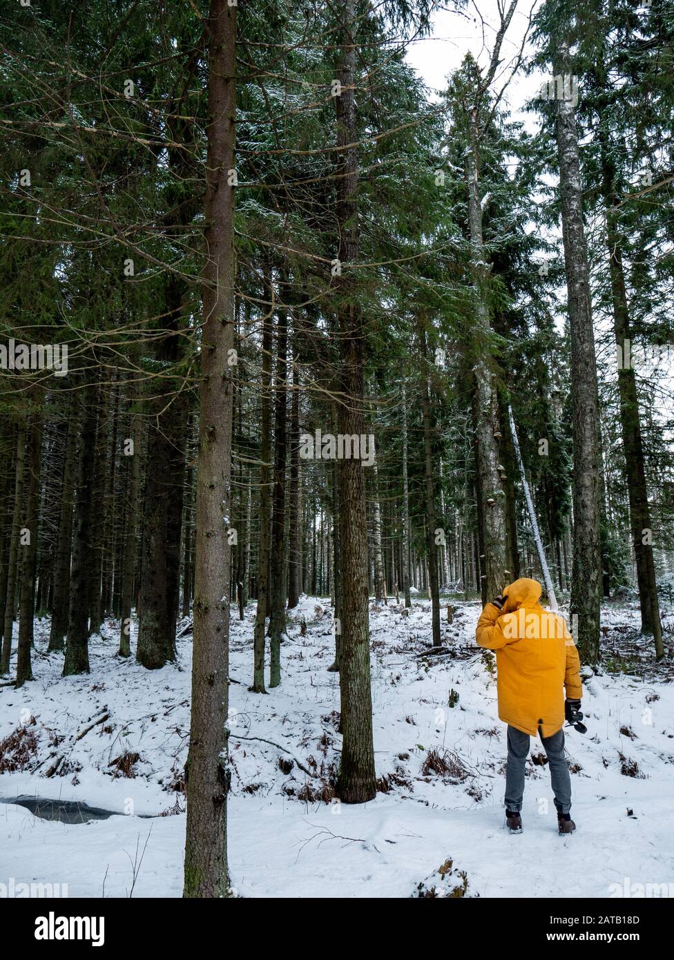 Man in a bright yellow jacket. Nature forest Stock Photo - Alamy