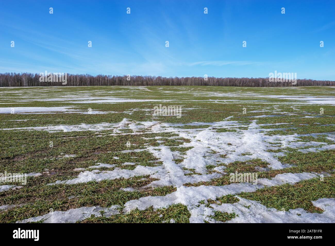 Snow melting spring time grass hi-res stock photography and images - Alamy
