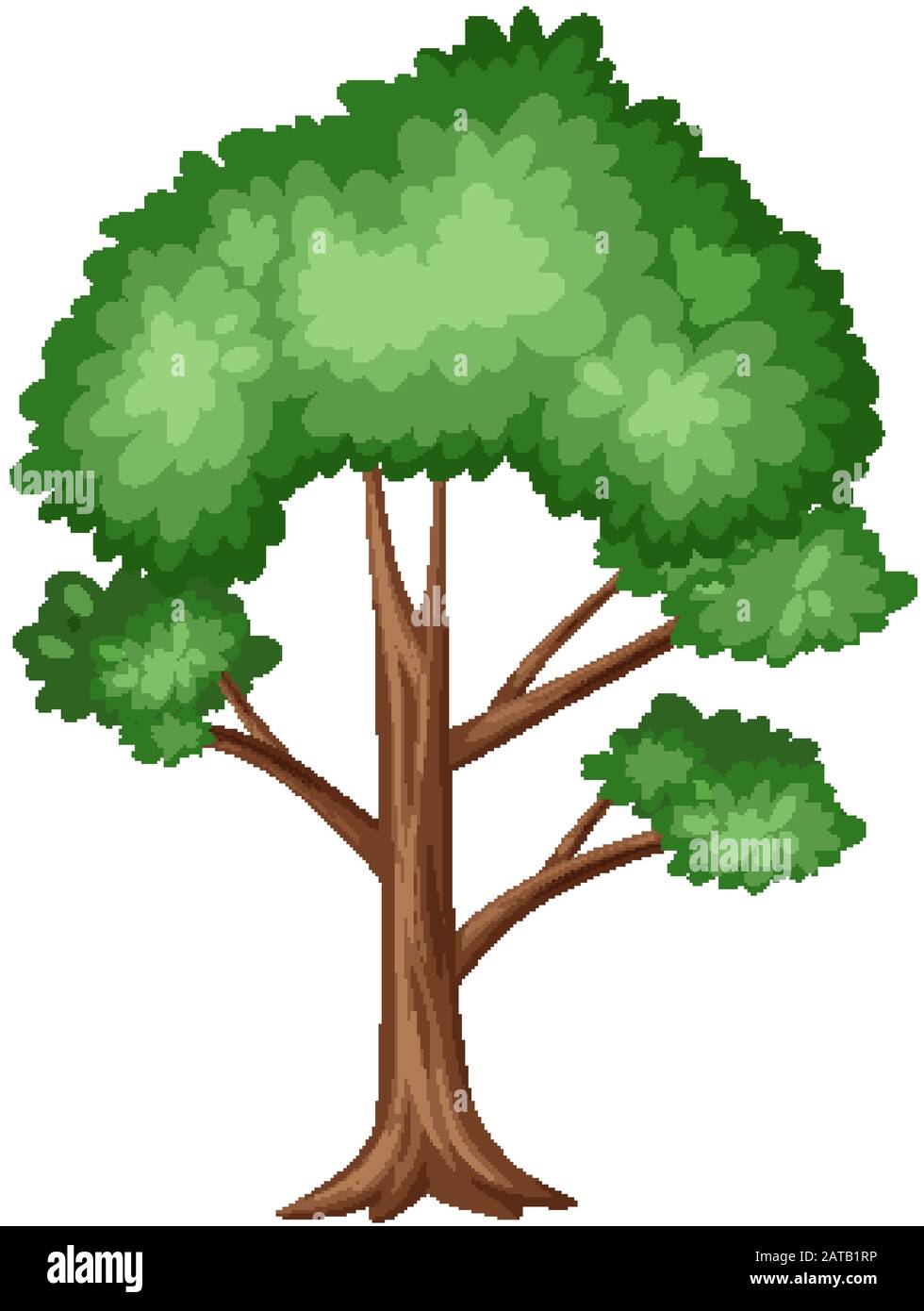 Big tree with many branches on white background illustration Stock ...