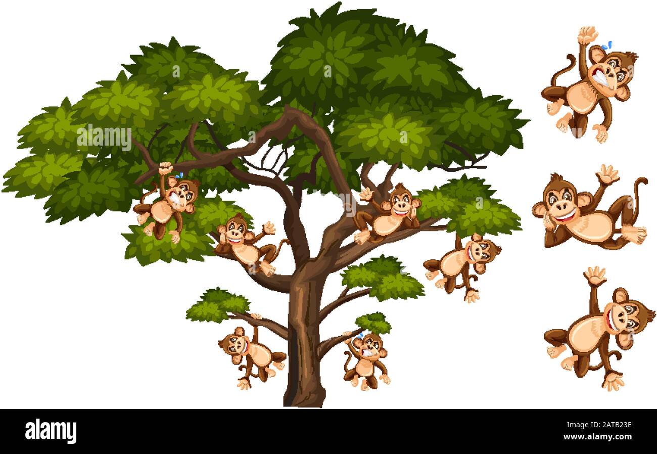 Big green tree and many monkeys on white background illustration Stock ...