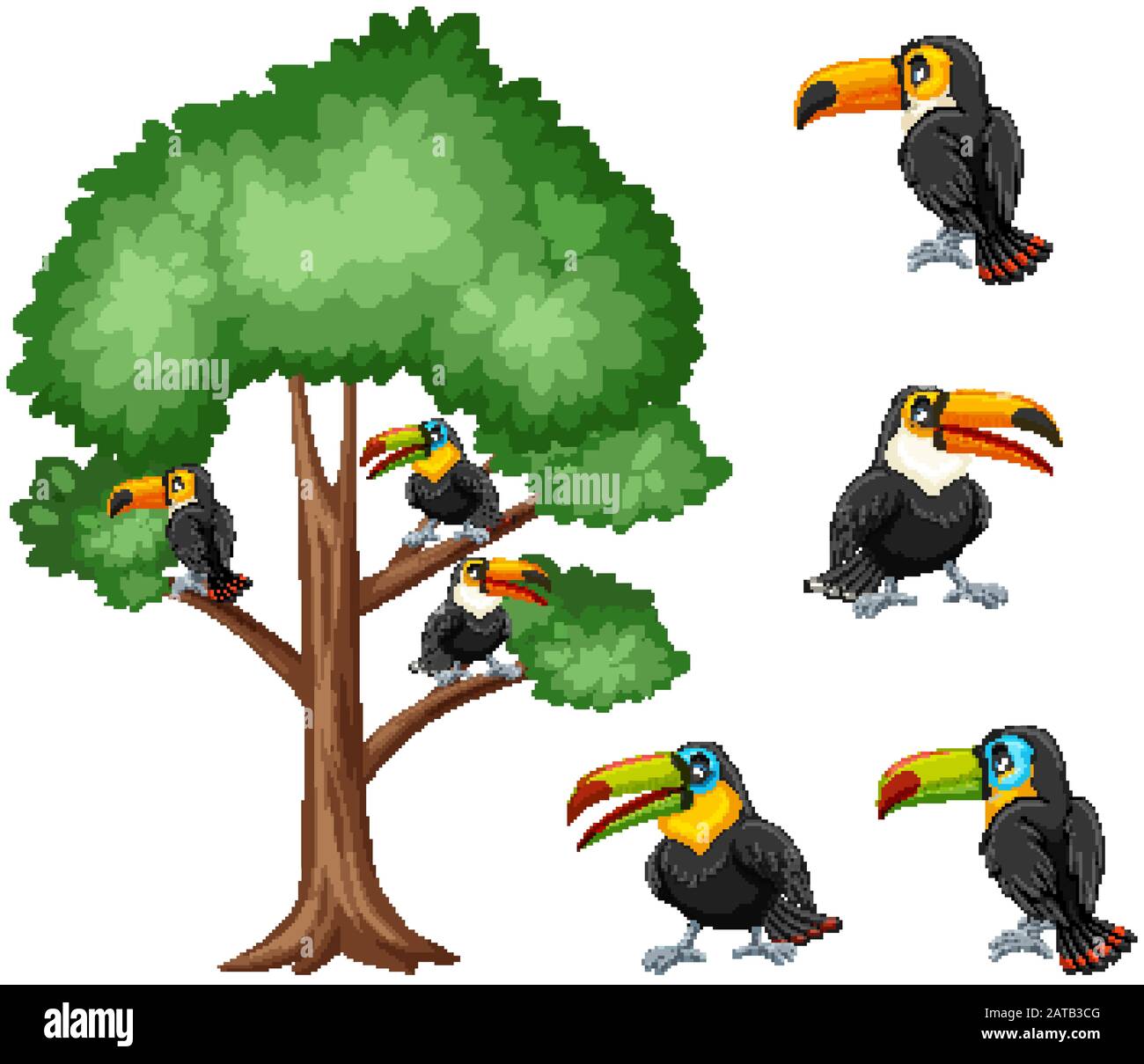 Big tree and toucan birds on white background illustration Stock Vector ...