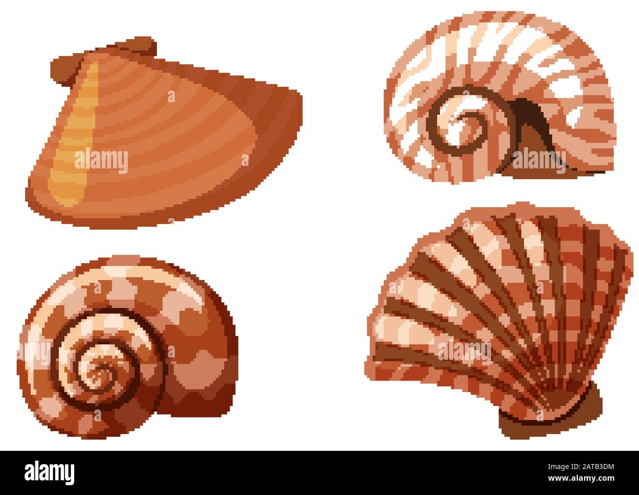 Set of isolated seashells in orange color illustration Stock Vector ...