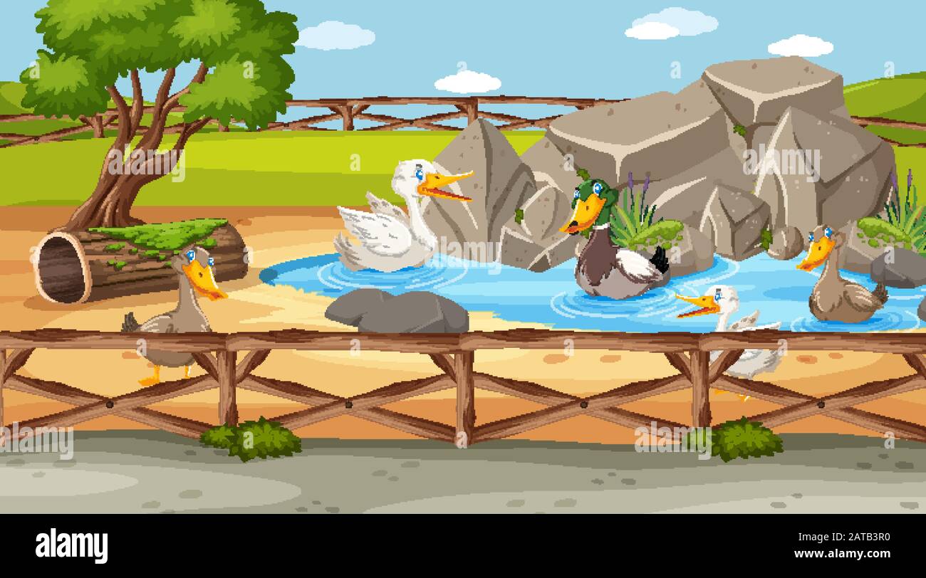 So many ducks Stock Vector Images - Alamy