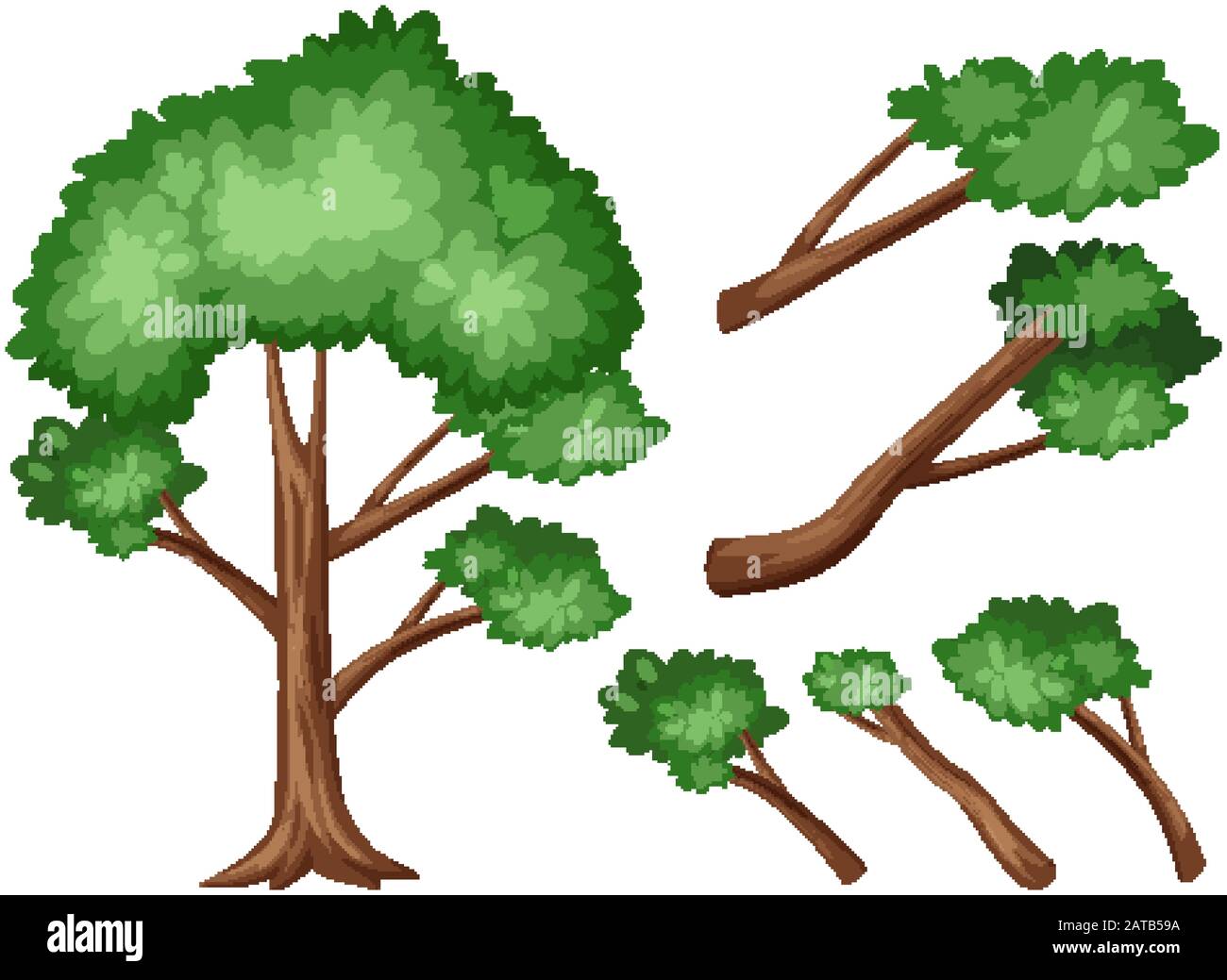 Big tree and set of branches on white background illustration Stock ...
