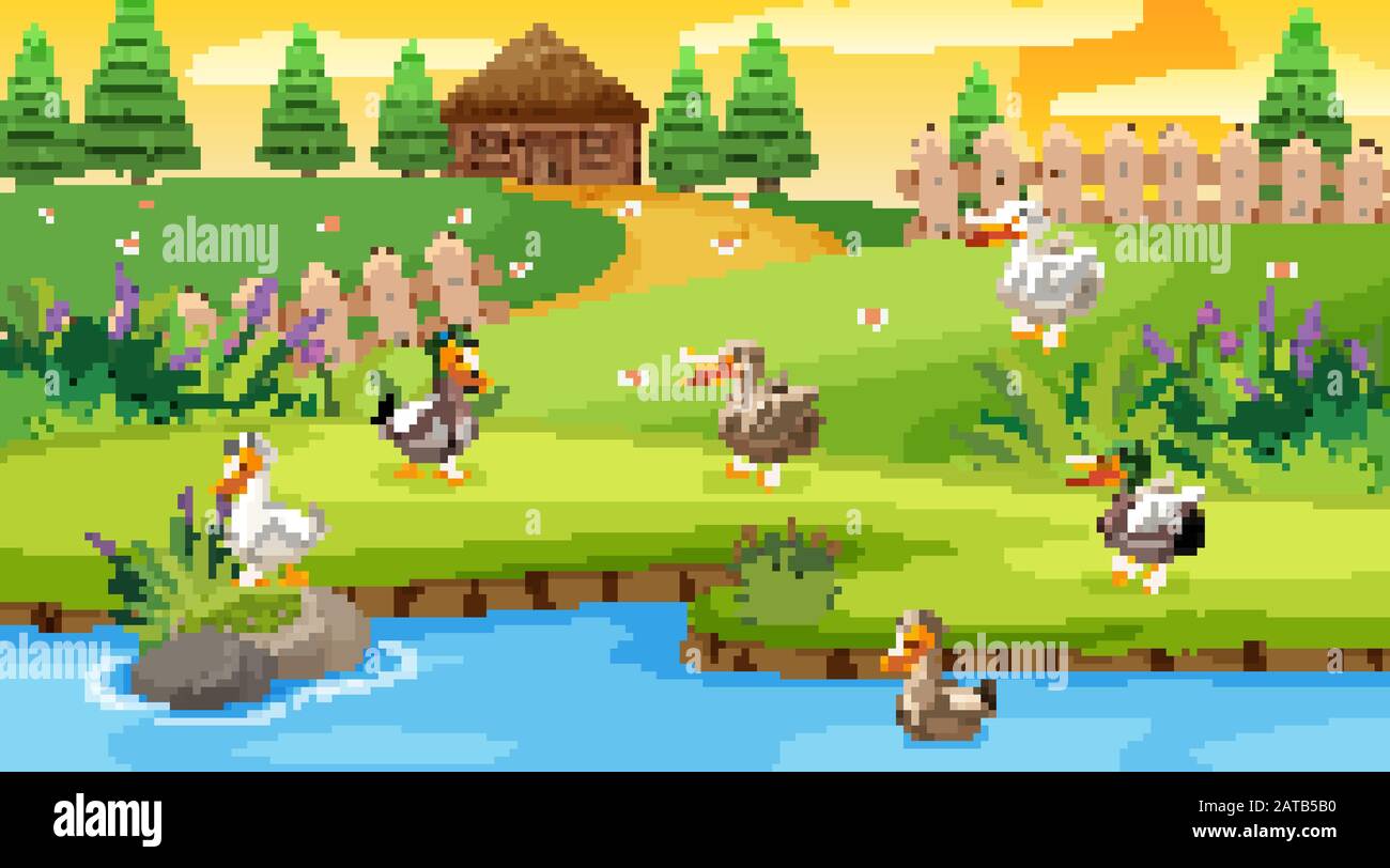 Scene with wooden cottage in the field and many ducks in the river ...