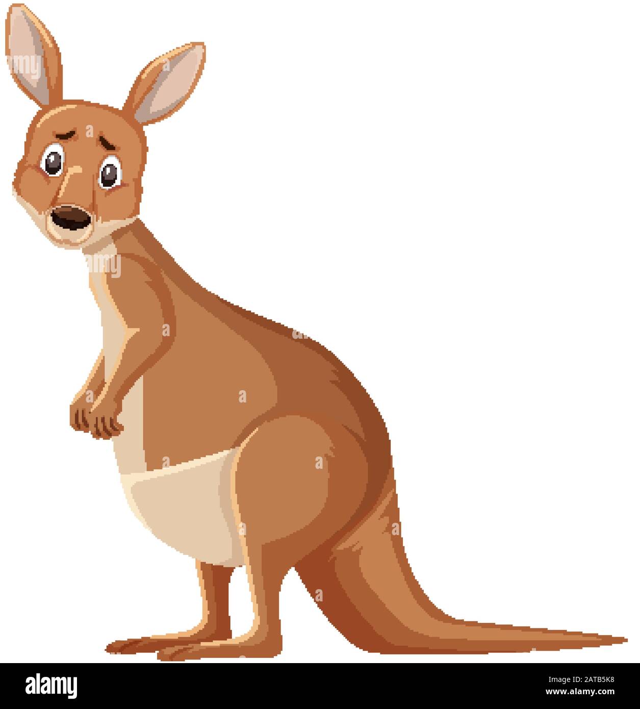 Sad looking kangaroo standing on white background illustration Stock ...