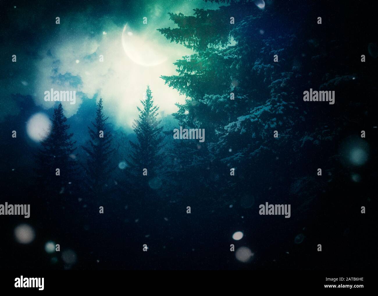 Christmas tree outdoors under moonlight hi-res stock photography and ...