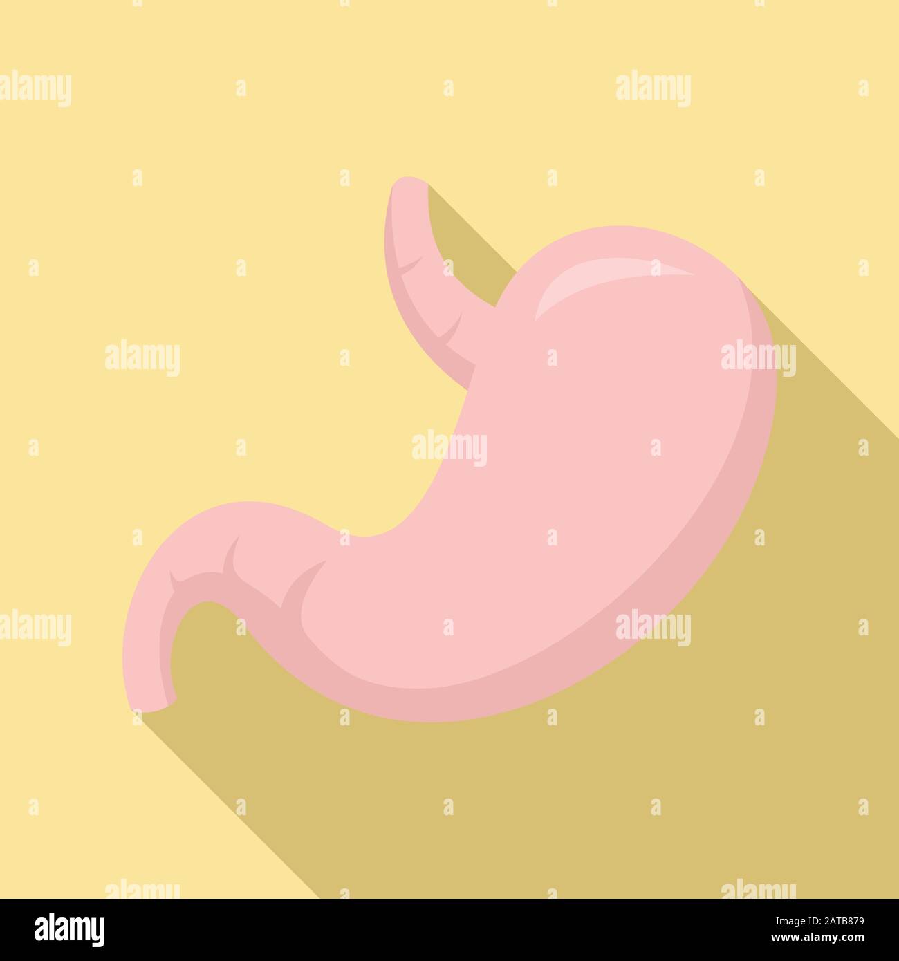 Healthy stomach icon. Flat illustration of healthy stomach vector icon ...