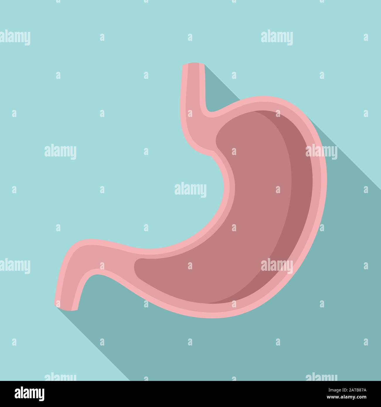 Stomach section icon. Flat illustration of stomach section vector icon ...