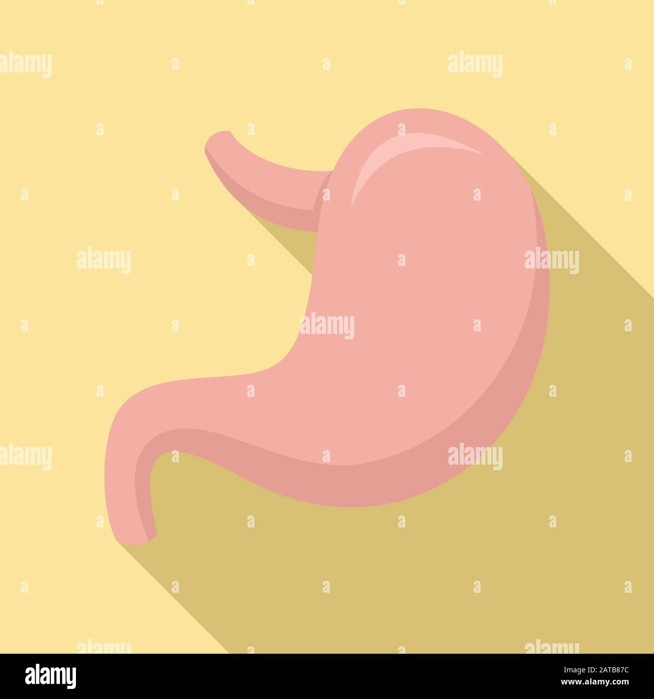 Human stomach icon. Flat illustration of human stomach vector icon for ...