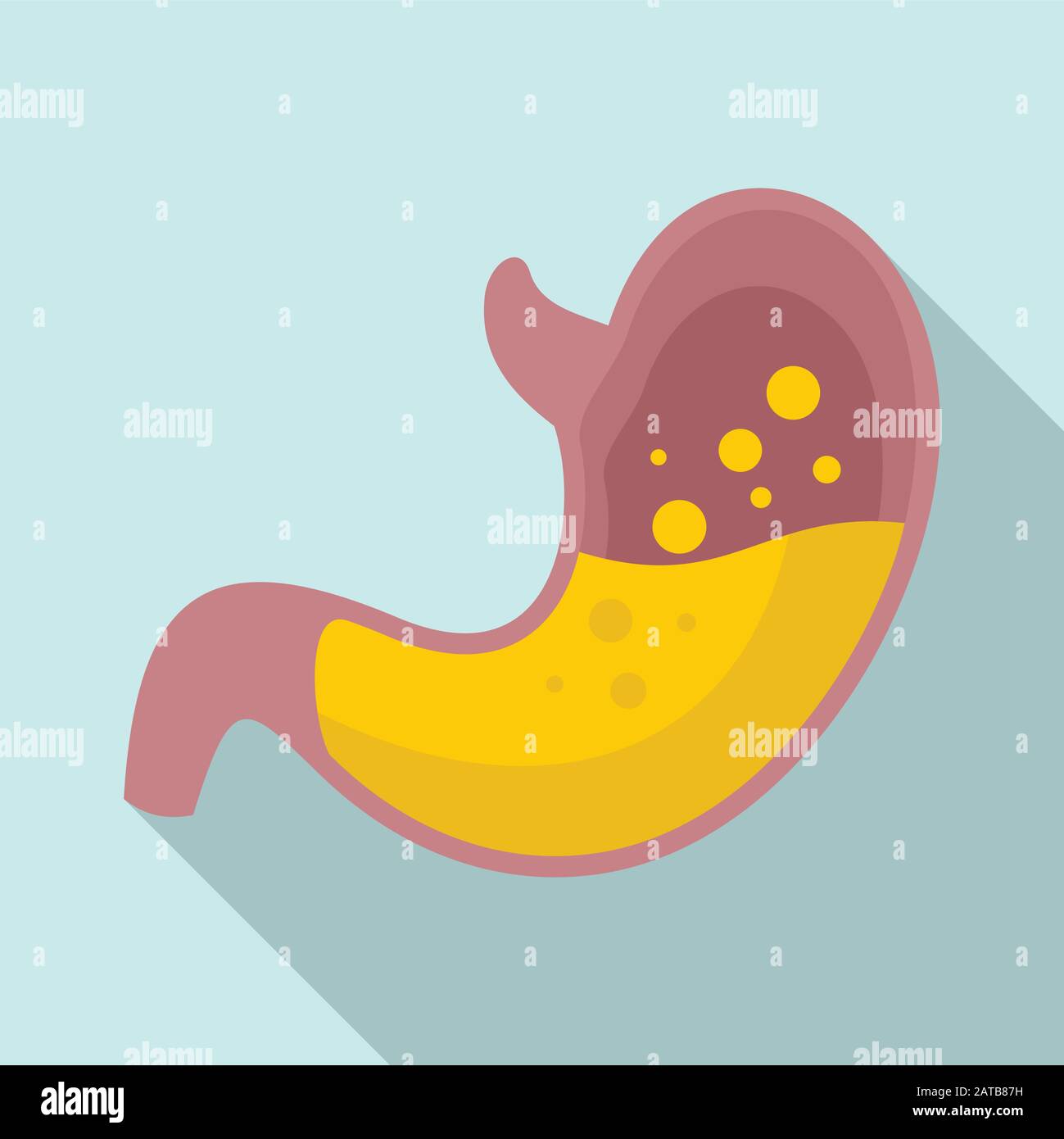 Stomach icon. Flat illustration of stomach vector icon for web design ...
