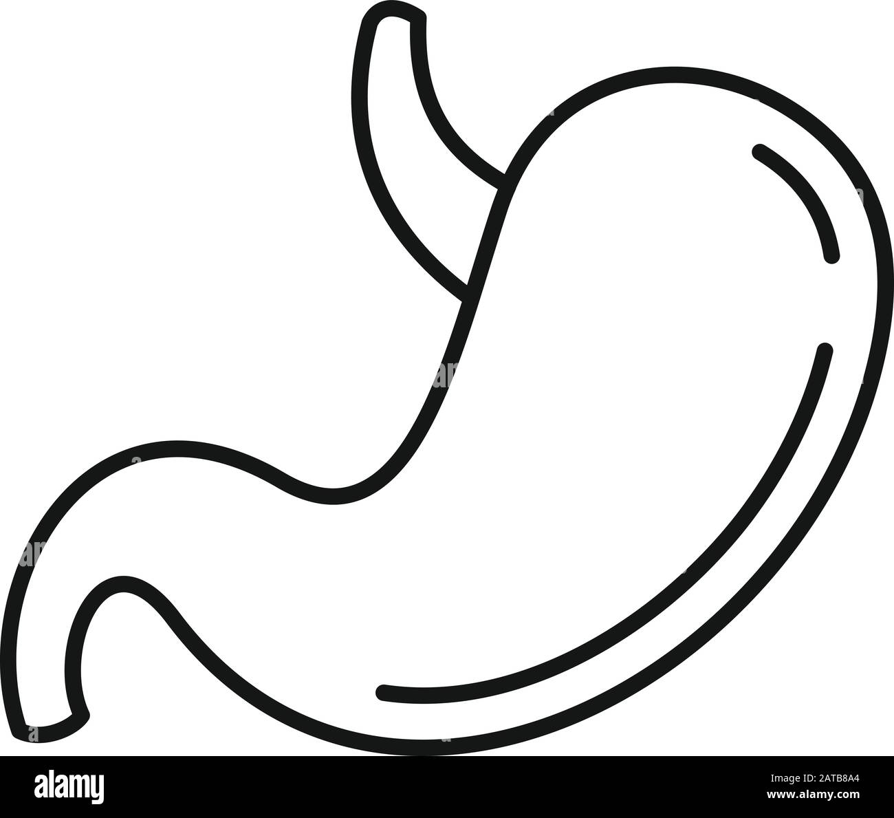 Healthy stomach icon. Outline healthy stomach vector icon for web ...