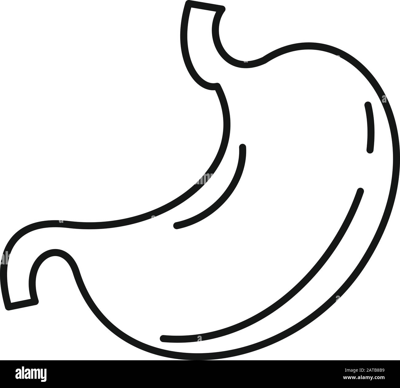 Internal stomach icon. Outline internal stomach vector icon for web ...