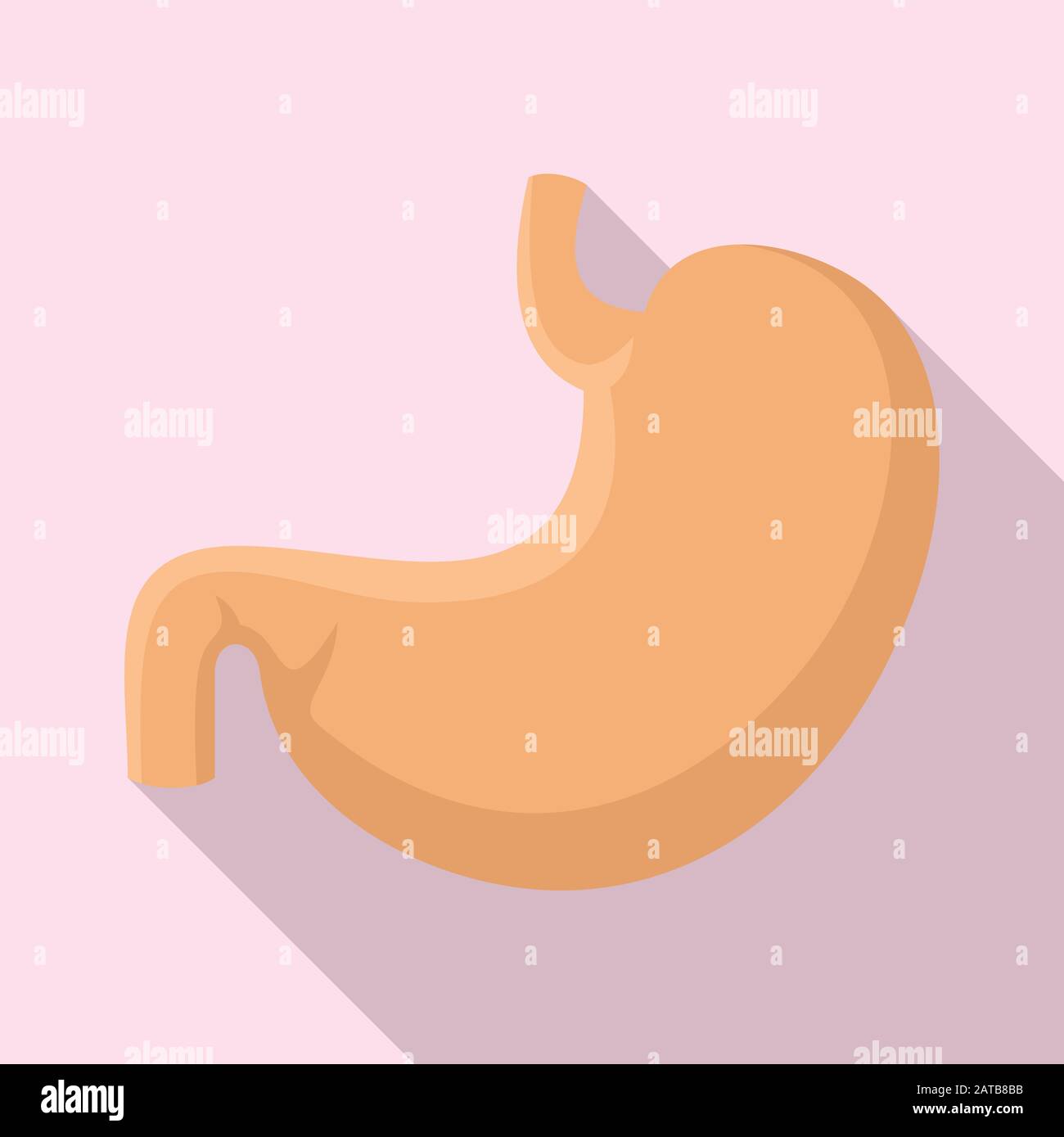 Body stomach icon. Flat illustration of body stomach vector icon for ...