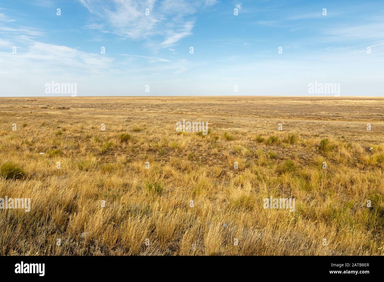 Landscape of the deserted steppe. Kazakhstan. steppe in Kazakhstan ...