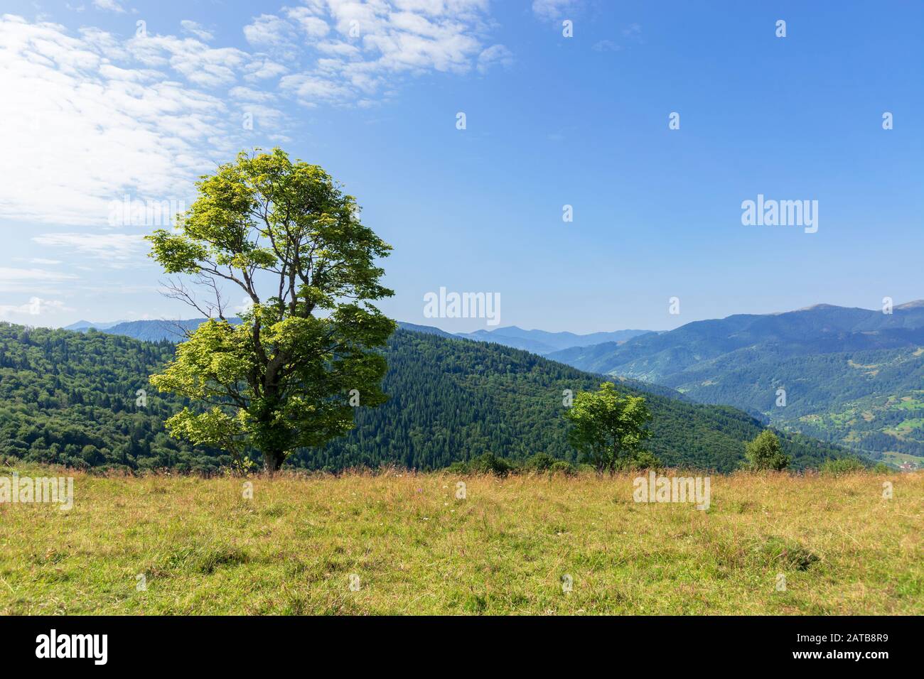 Ecology scenery hi-res stock photography and images - Alamy