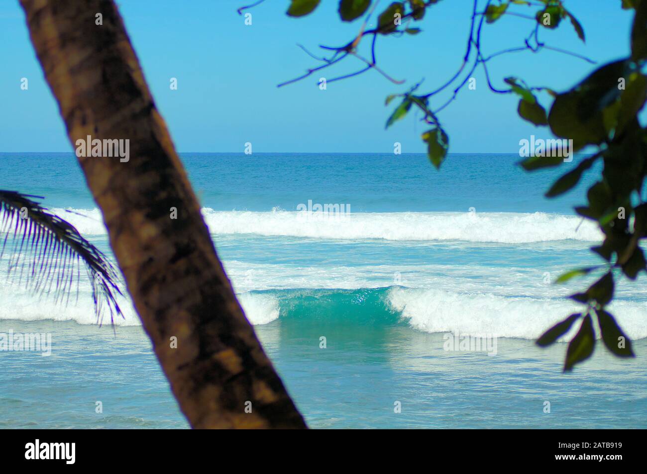 Beautiful Caribbean Ocean Beaches Among the Surf, Waves and Sand of ...