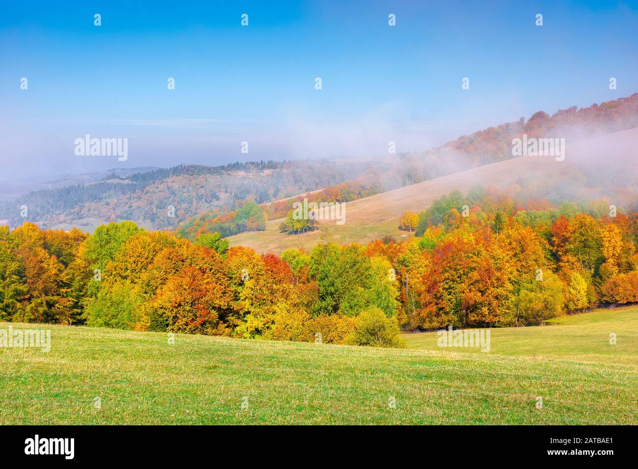 foggy mountain scenery in autumn. clouds rising above the rolling hills ...