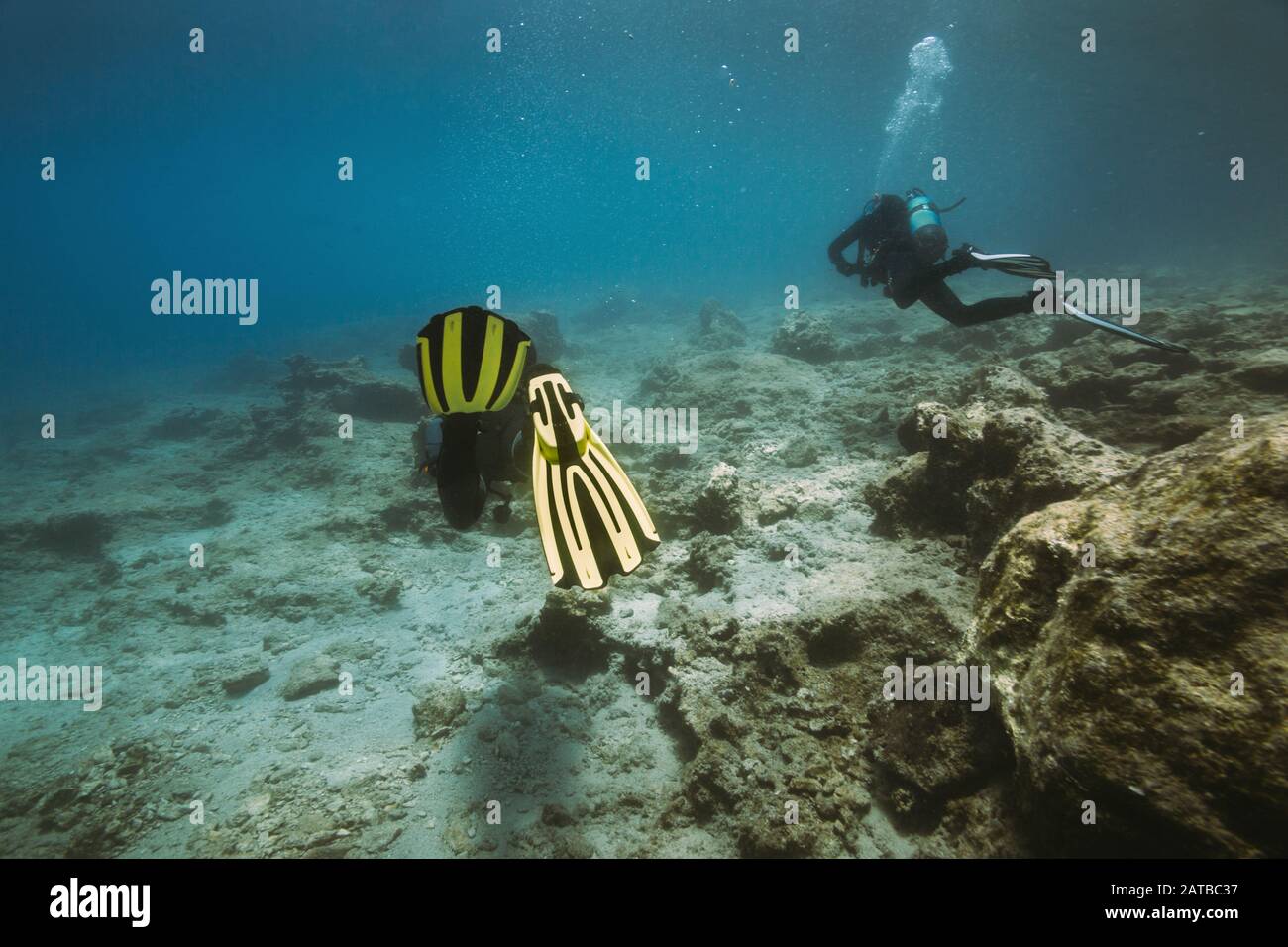 Two scuba divers underwater Stock Photo - Alamy