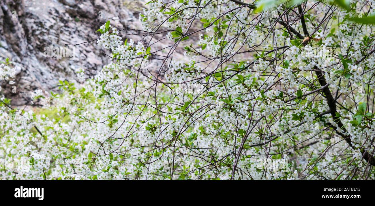 Frame filling hi-res stock photography and images - Alamy