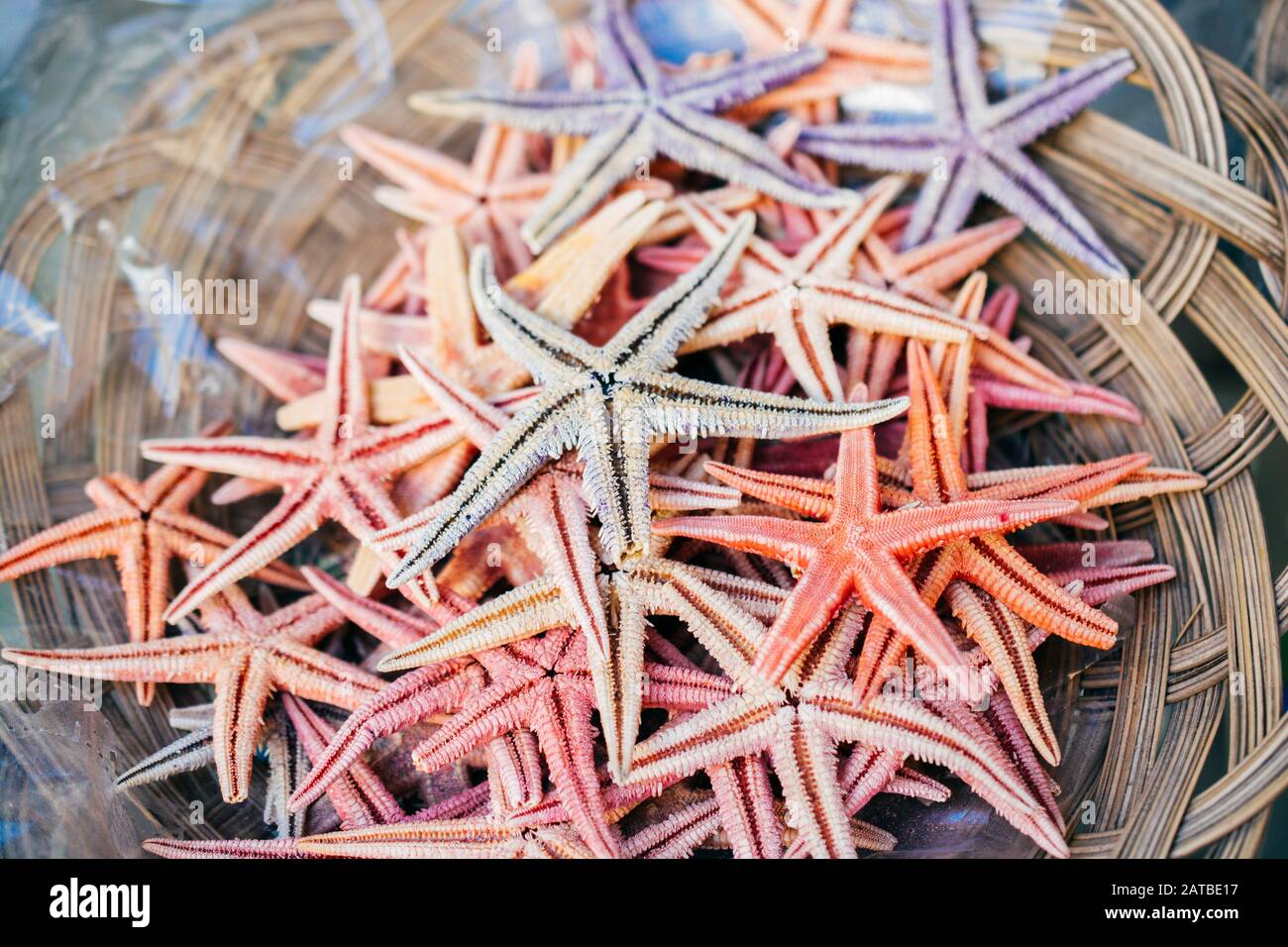 Beauty of natural materials hi-res stock photography and images - Alamy