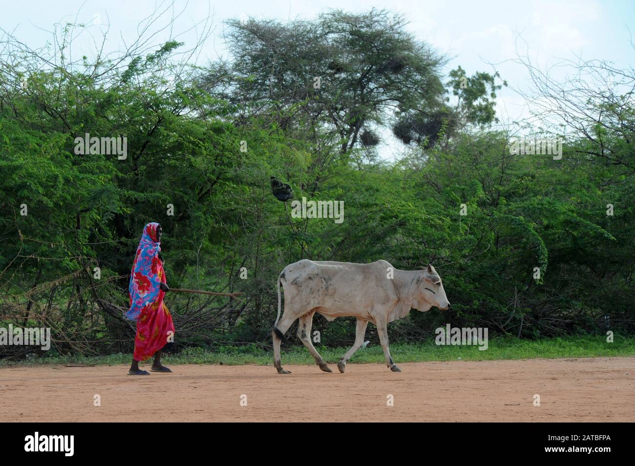 6 November 2011. Dadaab, Kenya. Dadaab is a semi-arid town in Garissa ...