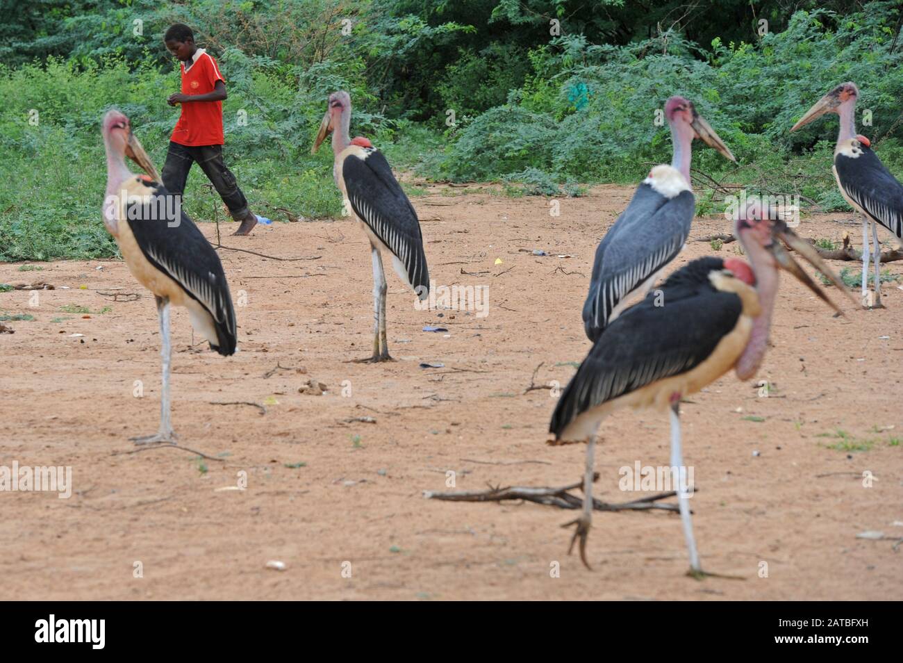 6 November 2011. Dadaab, Kenya. Dadaab is a semi-arid town in Garissa ...