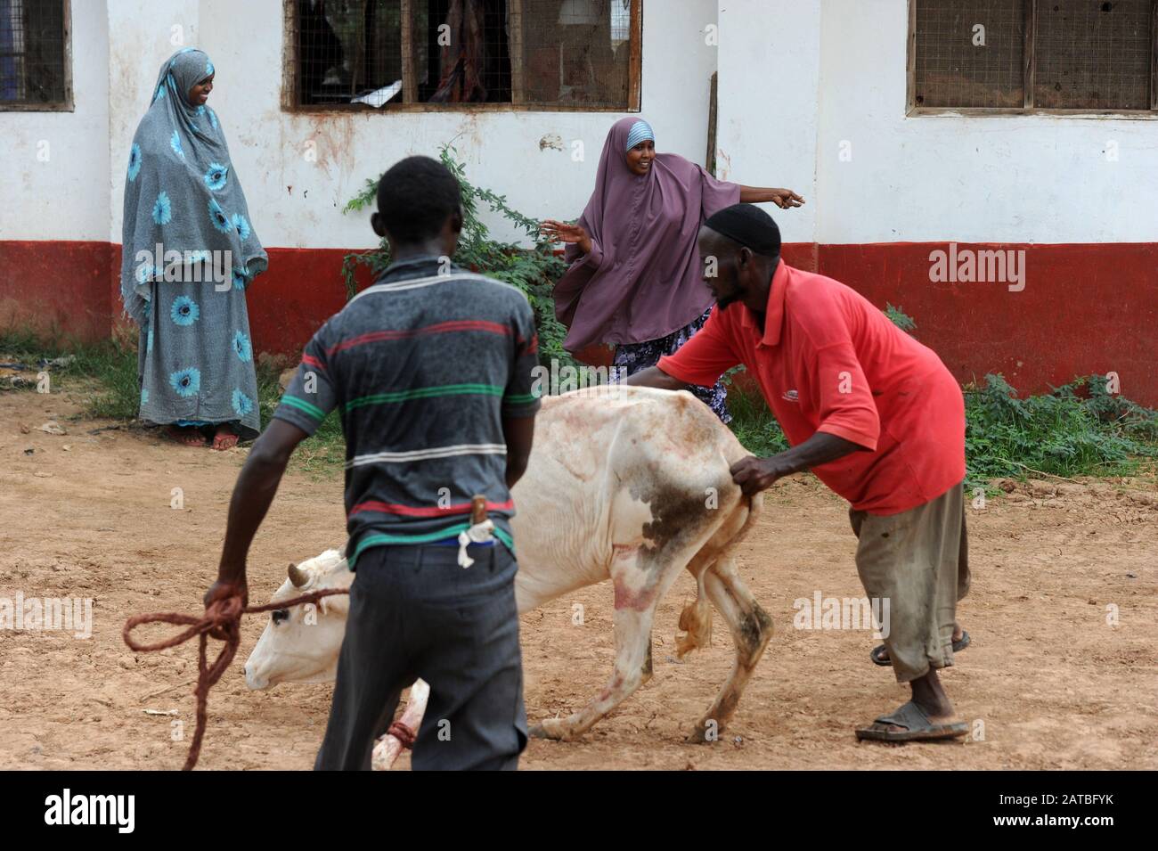 6 November 2011. Dadaab, Kenya. Dadaab is a semi-arid town in Garissa ...