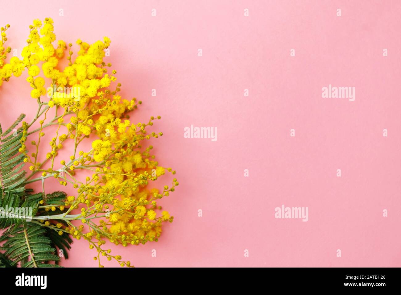 Greeting card motives hi-res stock photography and images - Alamy