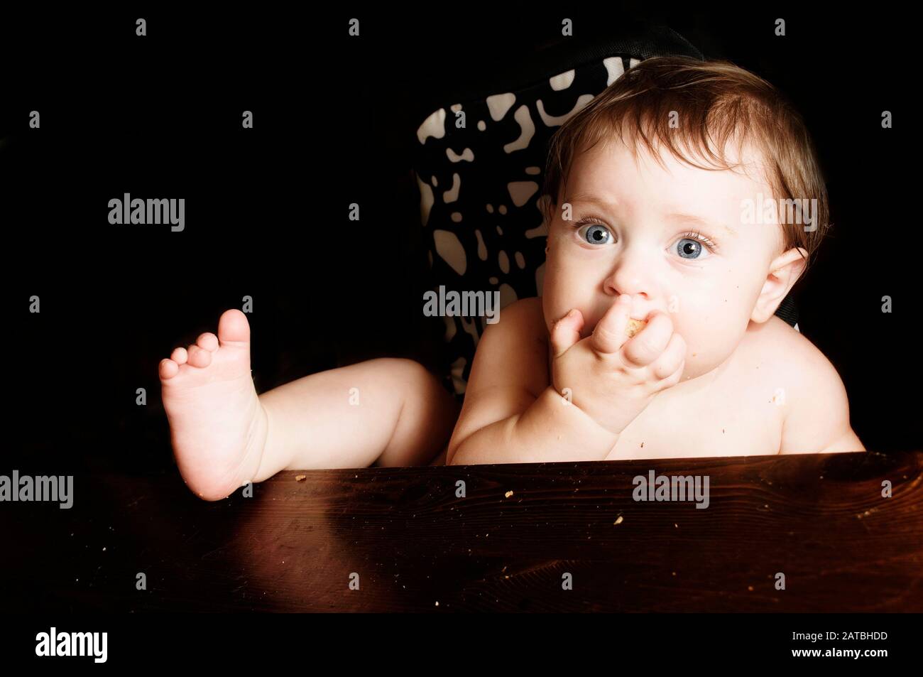 Bedraggled High Resolution Stock Photography and Images - Alamy