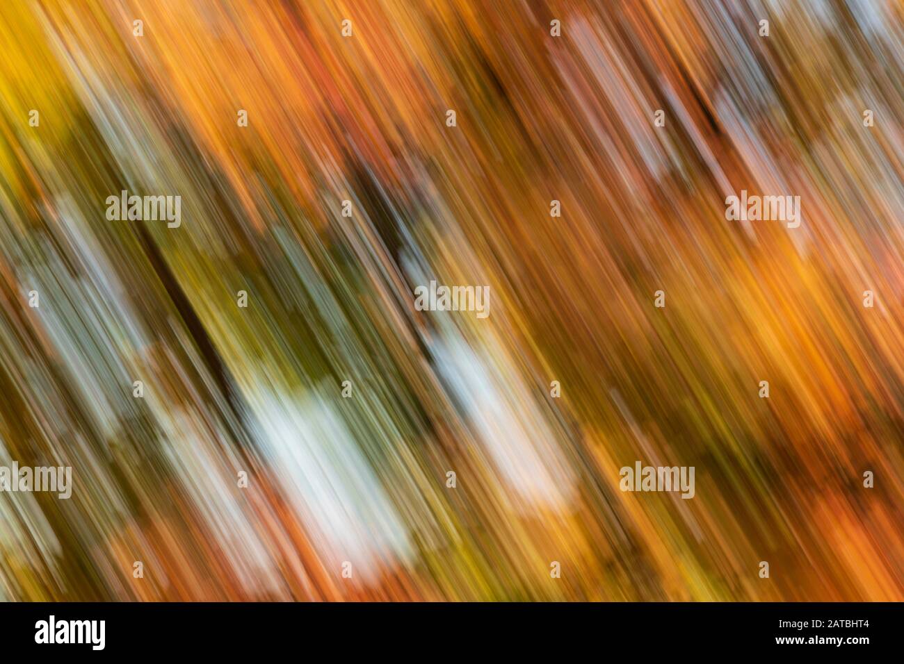 Abstract of Autumn Tree Colors Stock Photo - Alamy