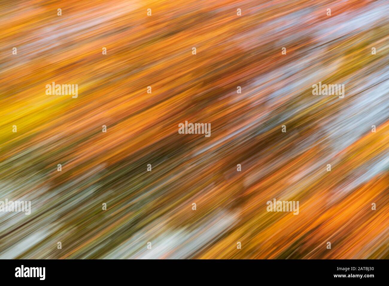 Abstract of Autumn Tree Colors Stock Photo - Alamy
