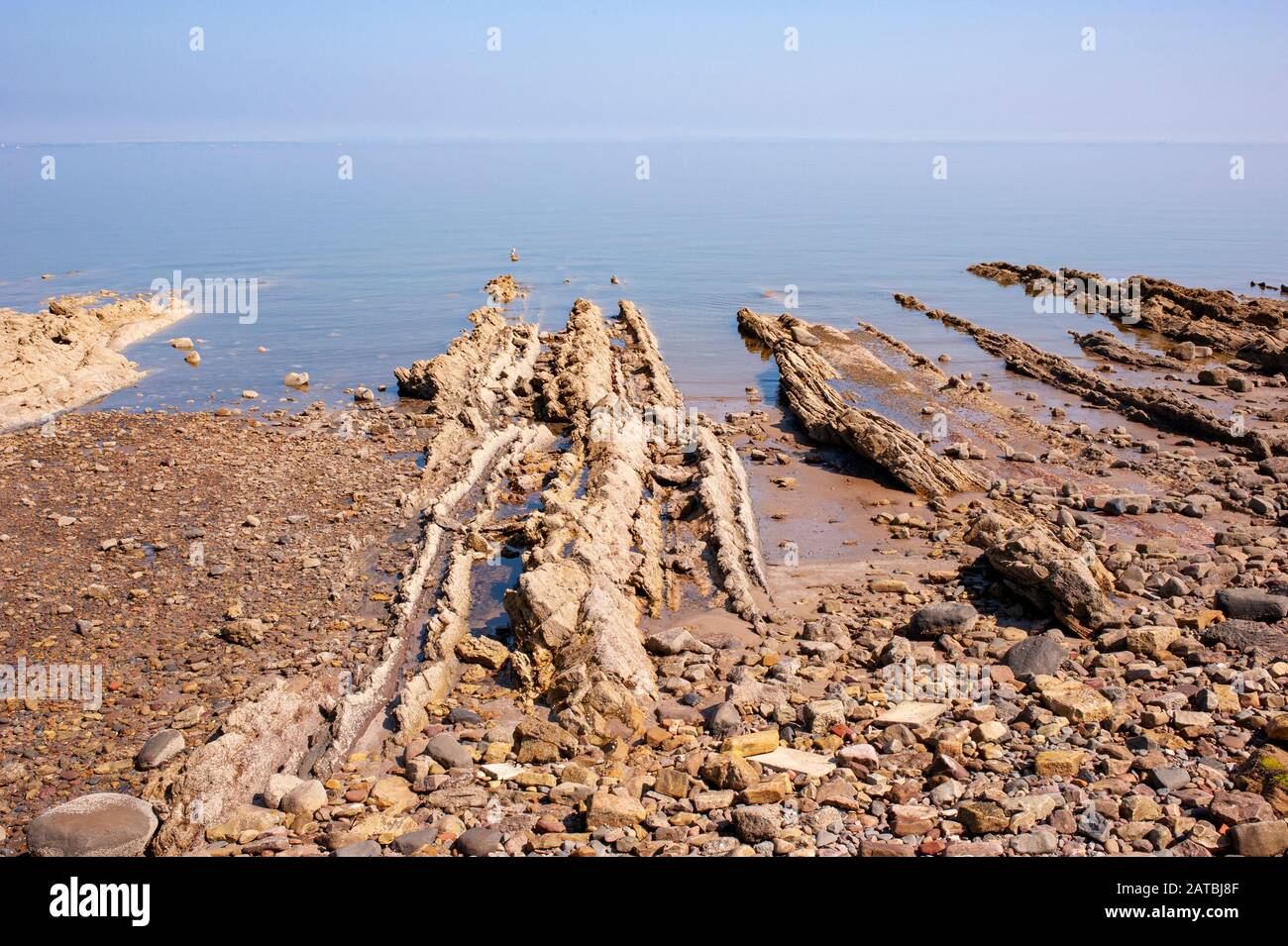 Joppa hi-res stock photography and images - Alamy