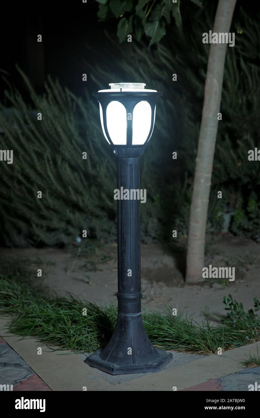 The backdrop is Bush that little light. Magic street lamp close-up with ...