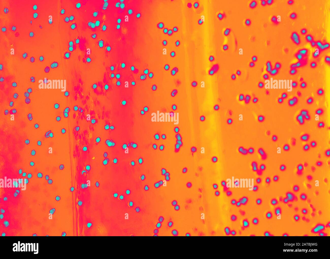 Background with a certain texture pattern Stock Photo - Alamy