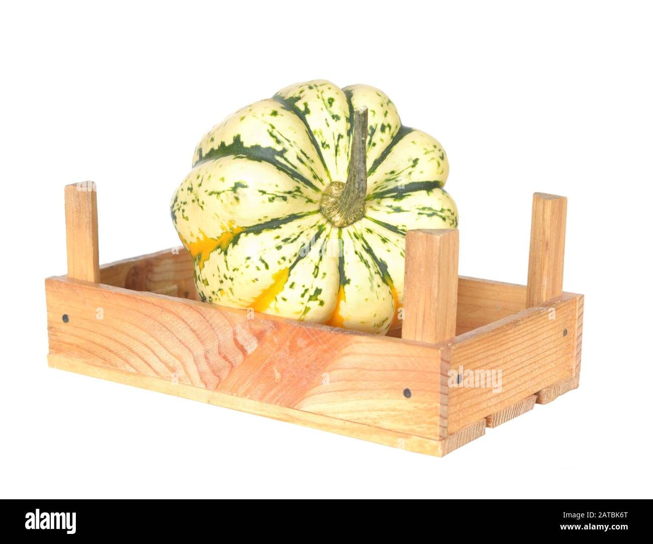 Carnival deocor squash in crate isolated on white Stock Photo - Alamy