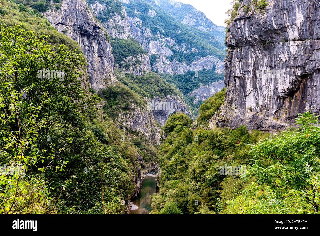 Tara river canyon and in a national Park in Montenegro Stock Photo - Alamy