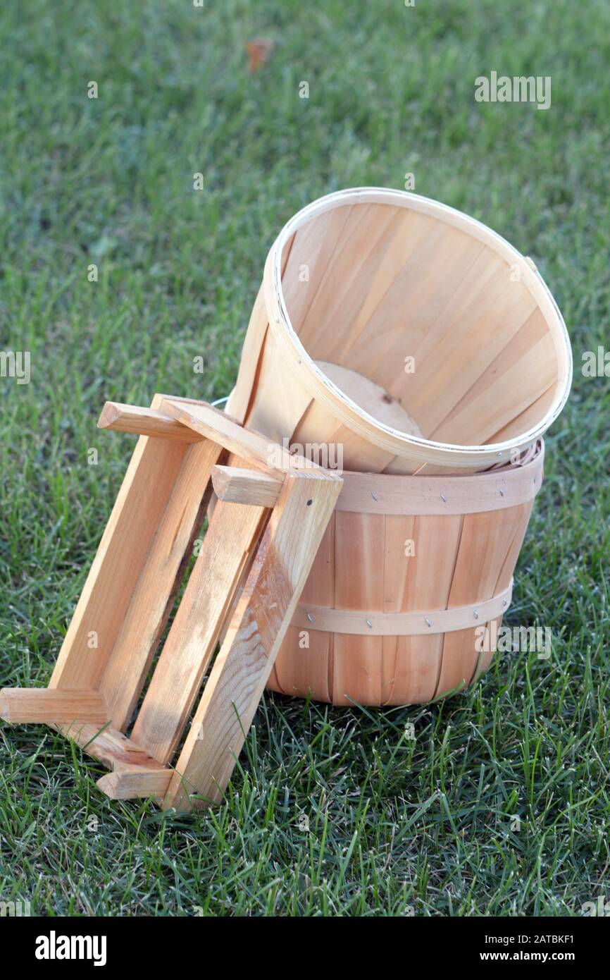 Empty buckets and crate on lawn ready for harvest season Stock Photo ...
