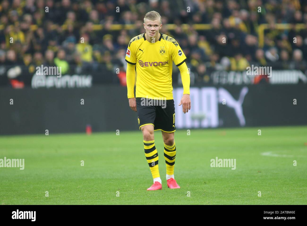 Erling haland borussia dortmund hi-res stock photography and images - Alamy