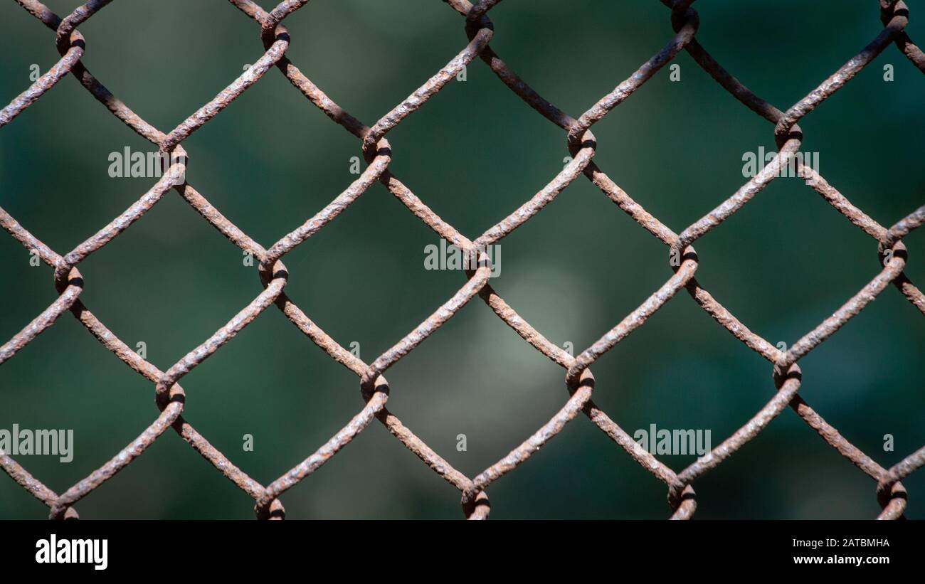 rabitz netting texture background. Fencing metal mesh fence Stock Photo ...