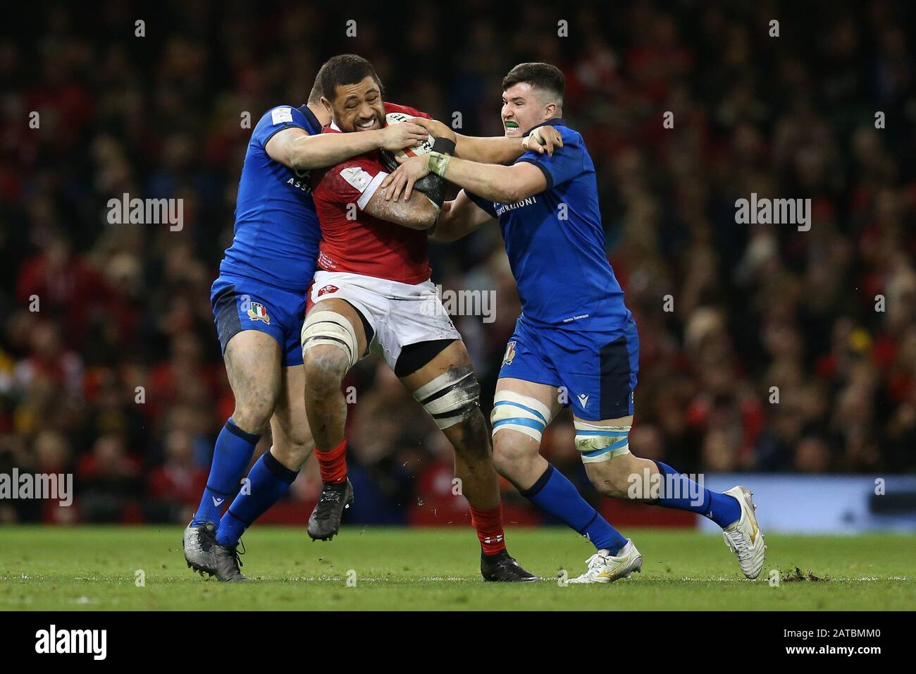 Sebastian negri rugby italy hi-res stock photography and images - Alamy