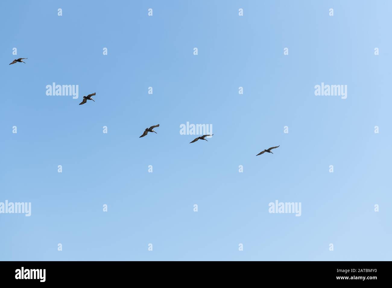 Straight line formation hi-res stock photography and images - Alamy