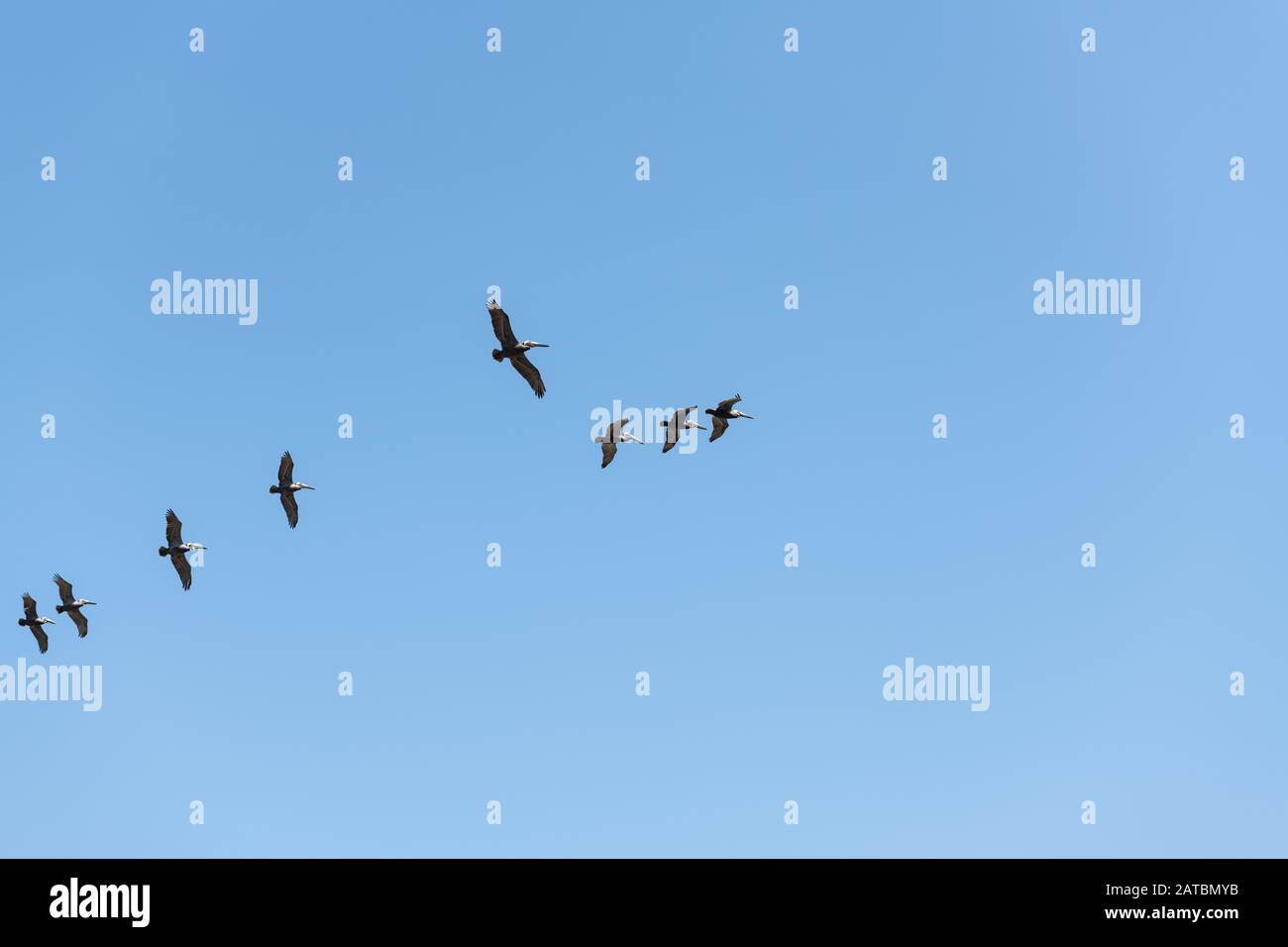 Straight line formation hi-res stock photography and images - Alamy