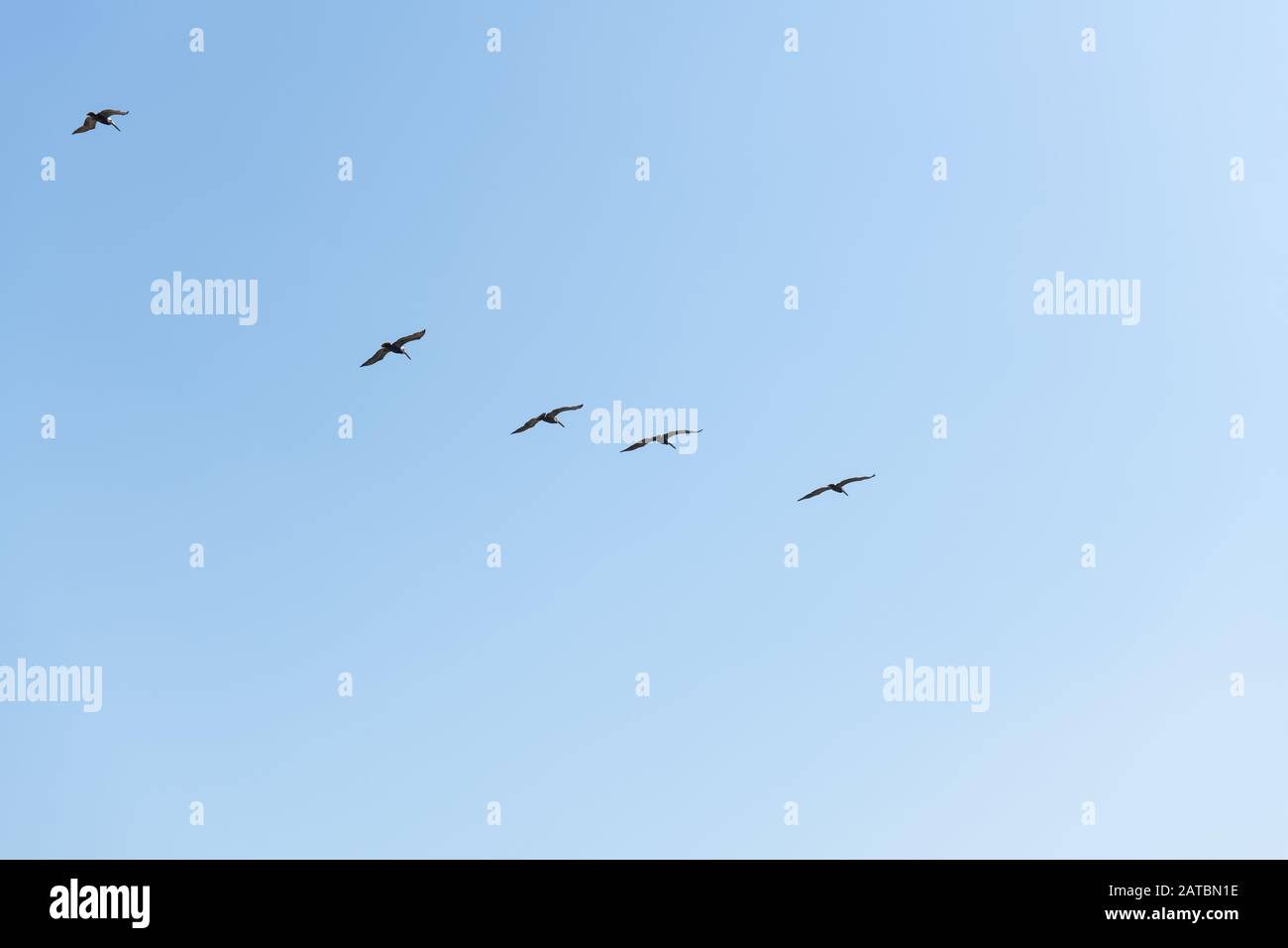 Straight line formation hi-res stock photography and images - Alamy