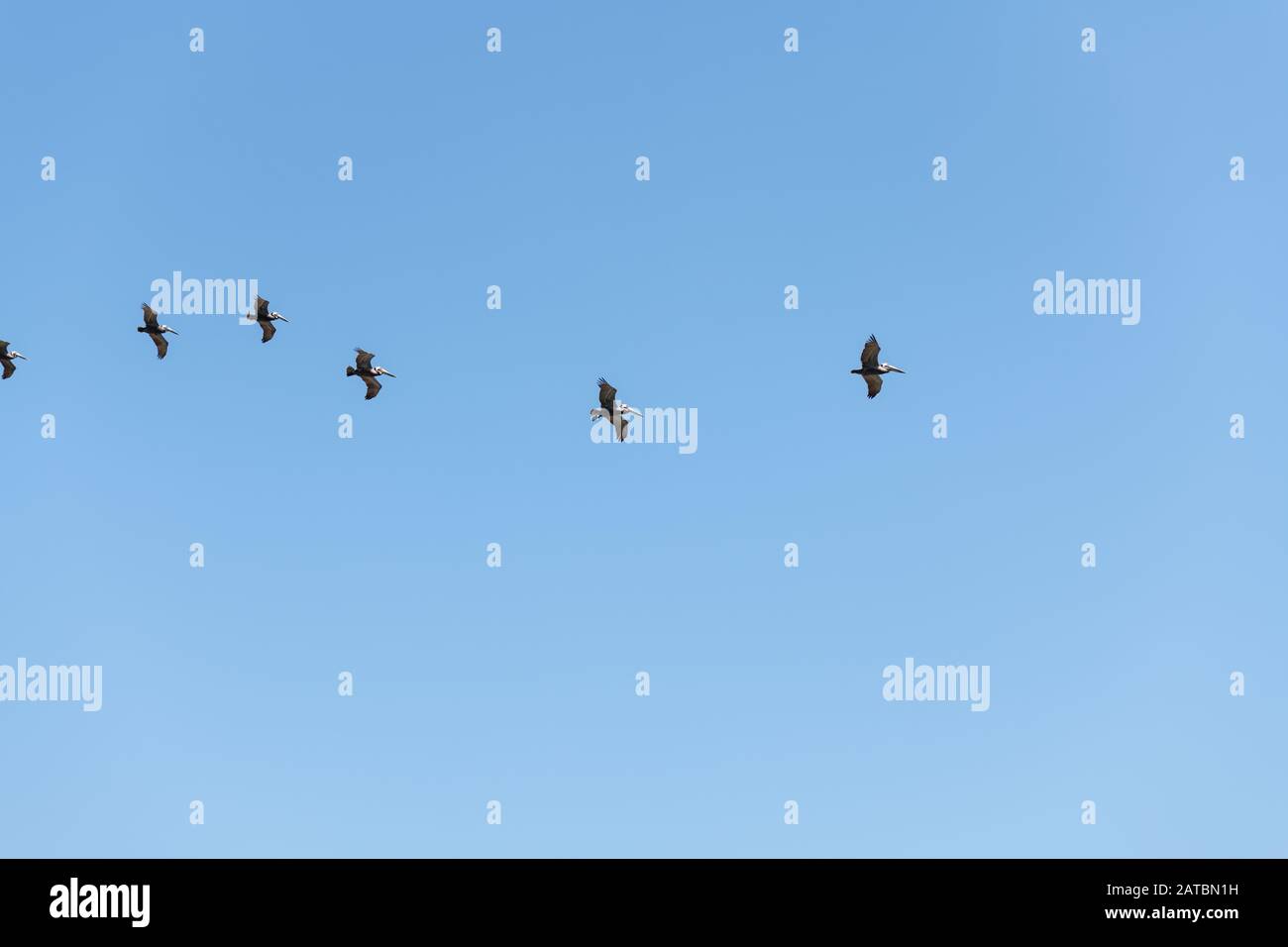 Straight line formation hi-res stock photography and images - Alamy