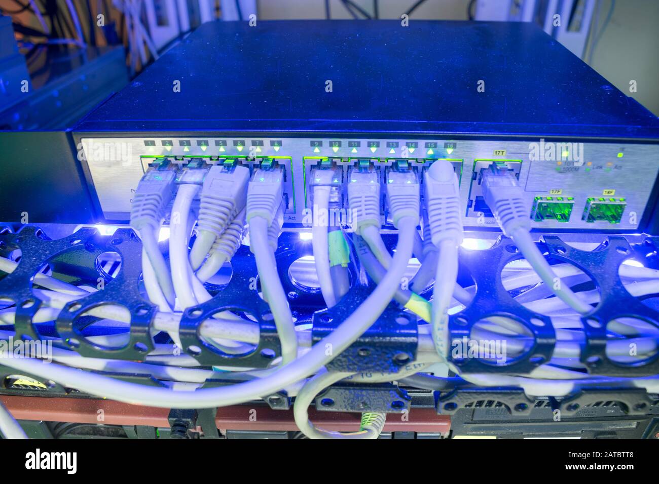 Telecommunication Ethernet Cables Connected to Internet Switch ...