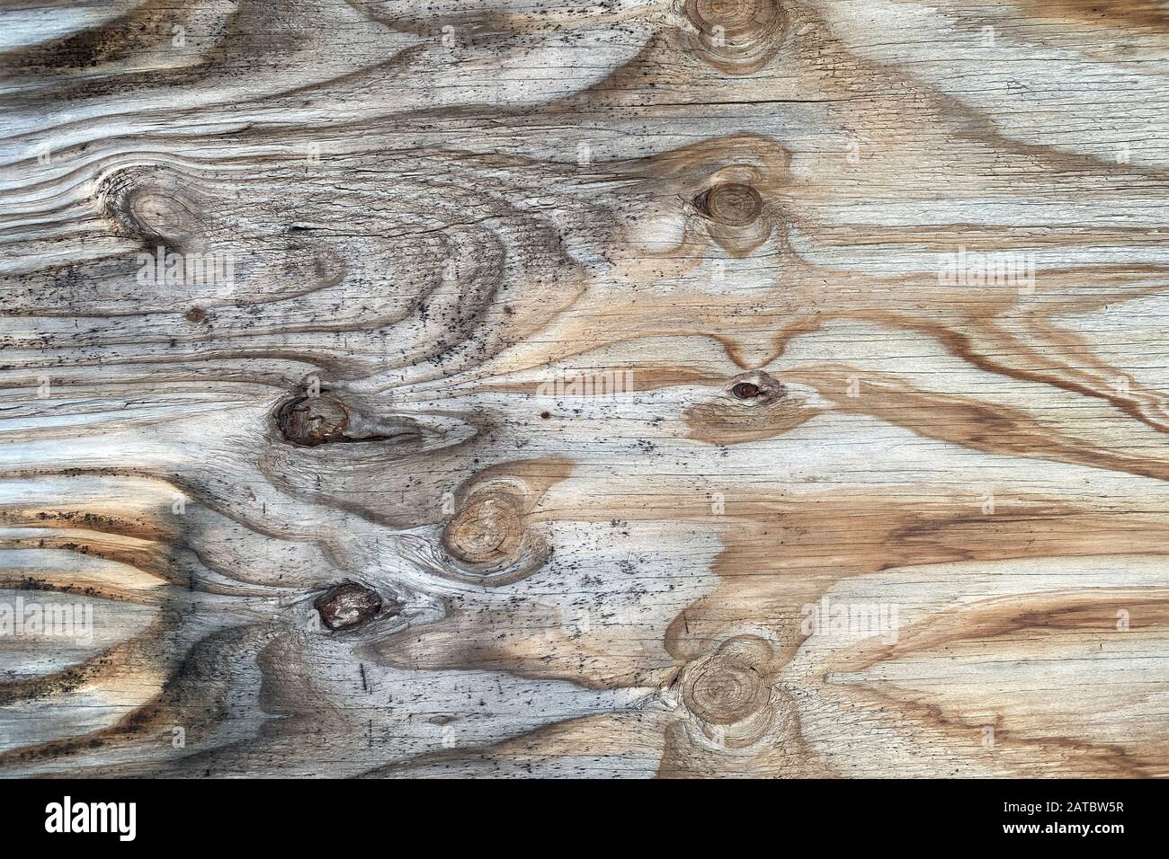 Knotty aged board surface hi-res stock photography and images - Alamy
